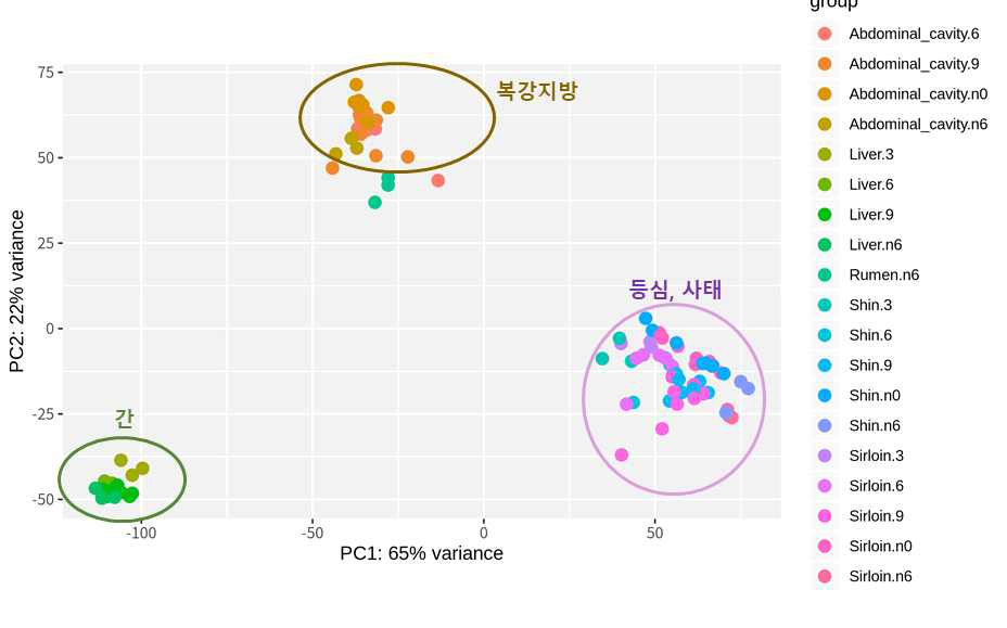 [보고서]한우 태아기 송아지 잠재 근내지방 발달 및 유전자 탐색 연구