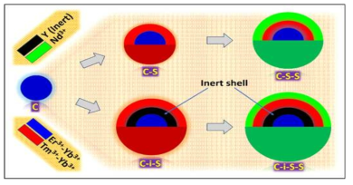 [보고서]차세대 나노포토닉스: 광학 센서, 이미징 및 보안분야 응용을 위한 업컨버팅 나노구조체의 광역학적 정밀제어