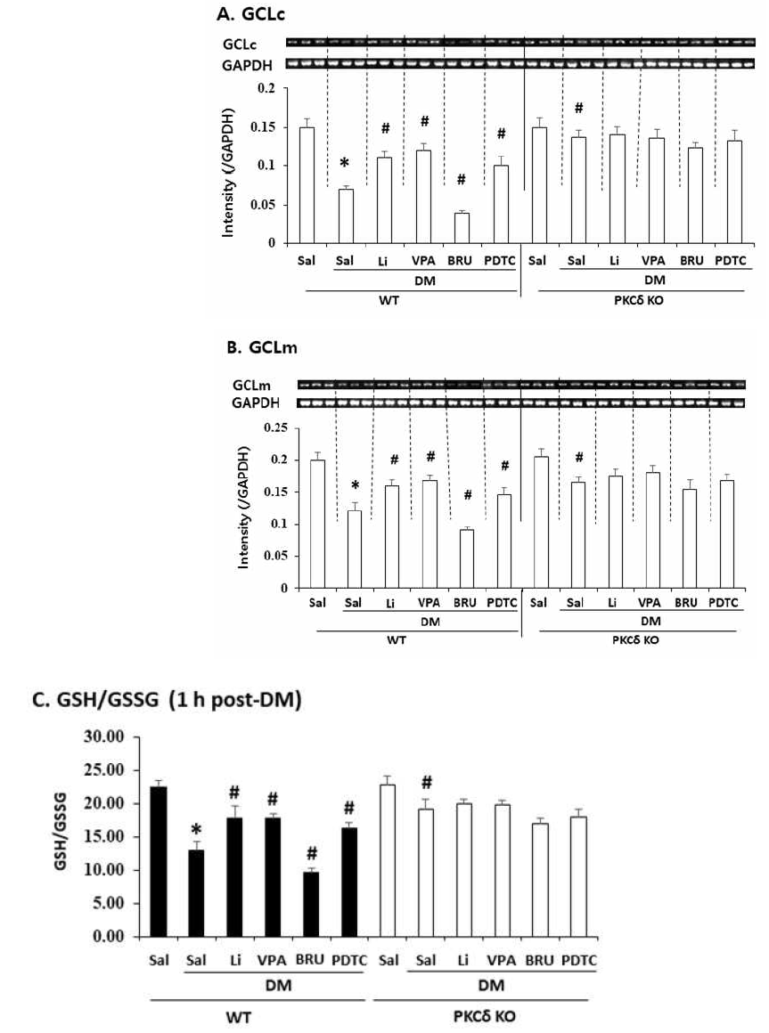 [보고서]정신 신경 독성 조건에서 염증 유발성 (protein kinase Cδ, platelet activating factor receptor) 및 항산화 유전자 ...