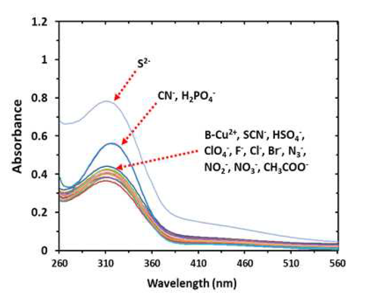 [보고서]수용액상 음이온 인지 형광 화학센서 연구
