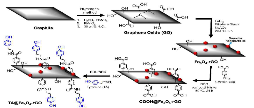 [보고서]우뭇가사리로부터 고부가가치 아가단당류의 단일반응 생산을 위한 나노 그라핀 및 타이로시네이즈 기반 신규 아가레이스 고정화 ...