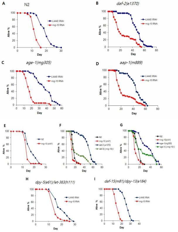 [보고서]노화와 지질 대사의 새로운 조절자로서 Grb10/mig-10의 역할 규명과 파킨슨 질병의 잠재적 치료제로서 새로운 ...