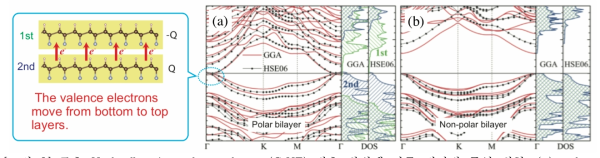 [보고서]강유전체 도메인 벽의 형성 및 물리적 특성 연구