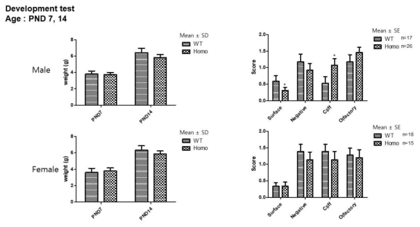 [보고서]Munc18과 결합하는 moesin 단백질의 발굴을 통해 시냅스에서의 역할 및 시냅스 활성화 조절 기전연구