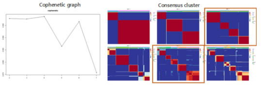 [보고서]암유전체 지도와 나노기술 기반 다크매터의 맞춤형 진단/치료 기술 개발 및 실용화
