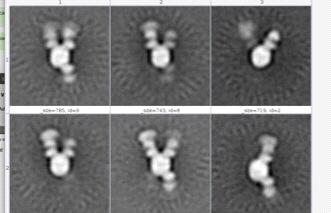 [보고서]단백질 구조규명을 위한 조합결정화 (combinatorial crystallization) 방법 개발