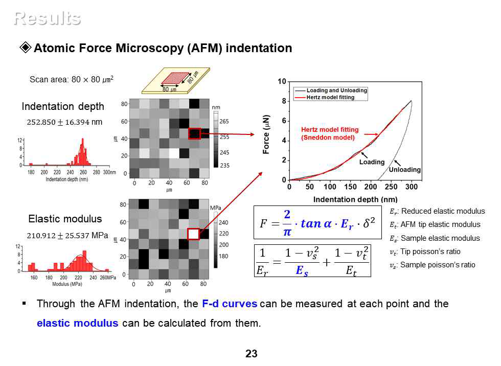 [보고서]다기능 원자력현미경을 이용한 에너지 핵심소재의 이온 채널 분석