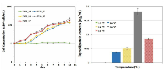 [보고서]유용 해양미세조류 게놈스케일 인실리코 모델구축 및 타겟 시뮬레이션