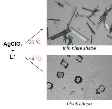 [보고서]비대칭리간드를 포함하는 금속 착화합물 초분자체 개발