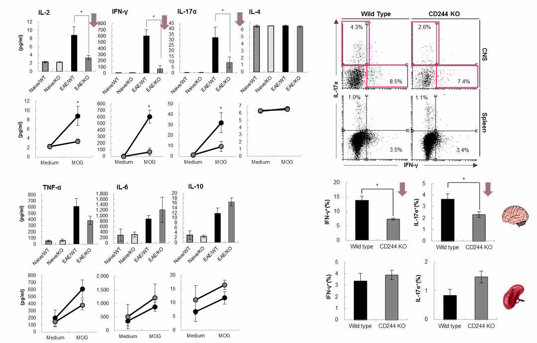 [보고서]신경계 자가면역질환에서 신규 조절 인자로서의 CD244 역할 구명