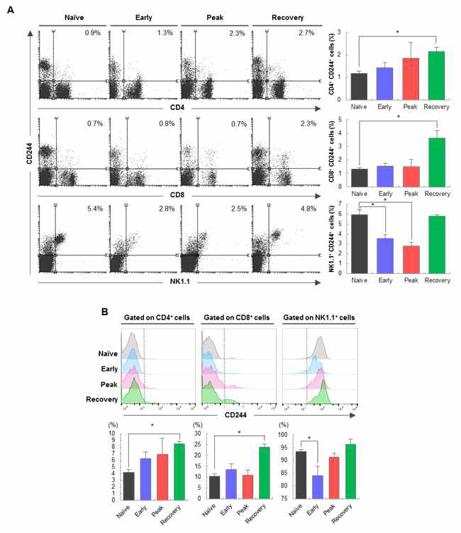 [보고서]신경계 자가면역질환에서 신규 조절 인자로서의 CD244 역할 구명
