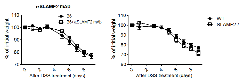[보고서]염증성 장질환의 조절자로서 SLAMF4의 기능 및 메카니즘 규명