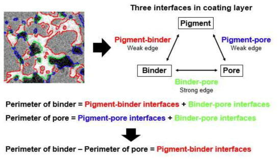 [보고서]도공층 구조 최적화를 위한 건조 과정에서의 라텍스 바인더의 거동에 대한 기초 연구