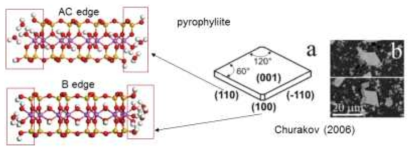 [보고서]크리티컬존 선도연구실