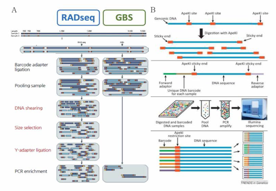 [보고서]식물자원 유전자 다양성 연구