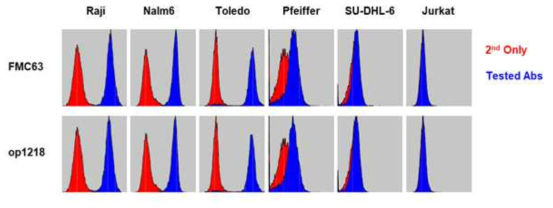 [보고서]신규 CD19 항체 기반 CAR-T 치료제 개발