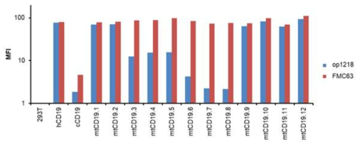 [보고서]신규 CD19 항체 기반 CAR-T 치료제 개발