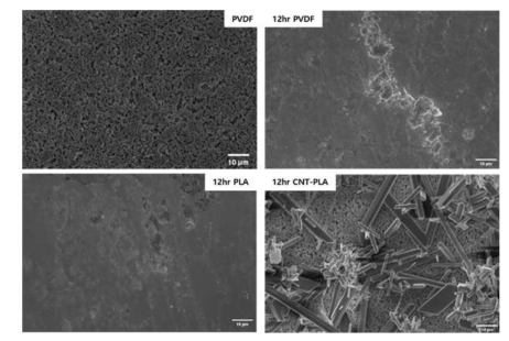 과학기술 지식인프라 ScienceON (사이언스온)