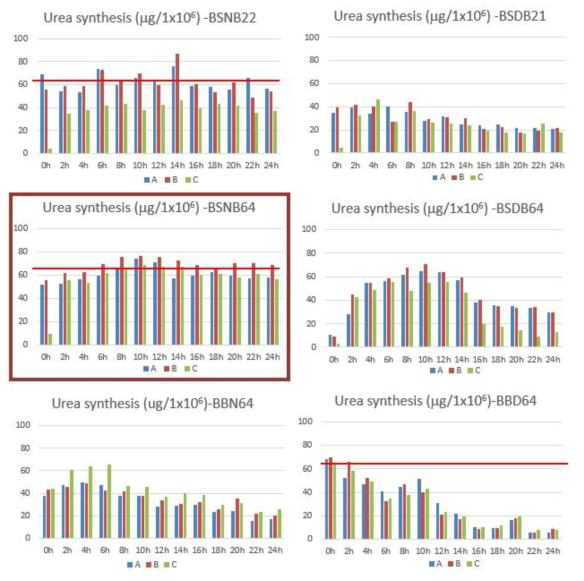 [보고서]간세포 스페로이드 동결보존 기술을 이용한 “off-the-shelf” 바이오인공간 사업화