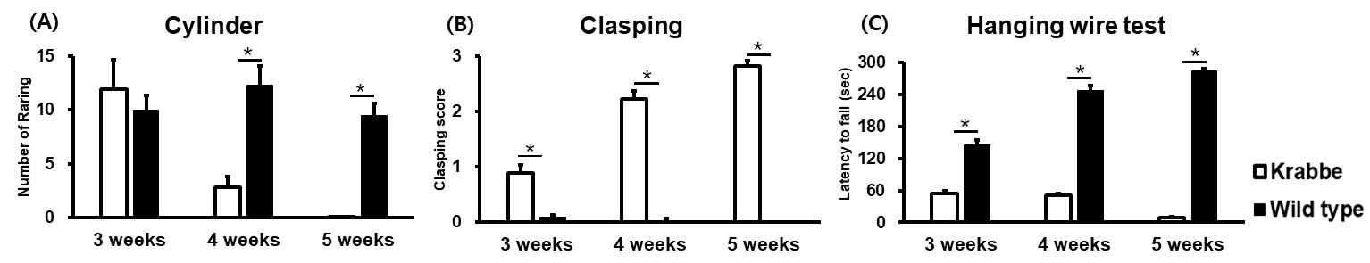 [보고서]유전성 대사성 뇌백질 질환에서 유전자 가위를 이용한 유전자 치료법 개발