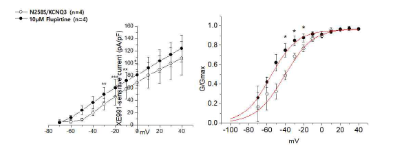[보고서]난치뇌전증 환자의 유전자 기능검사를 통한 치료제 반응 예측