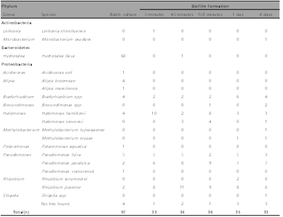 [보고서]치과용 유니트 수관 내 바이오필름의 단계별 형성 과정