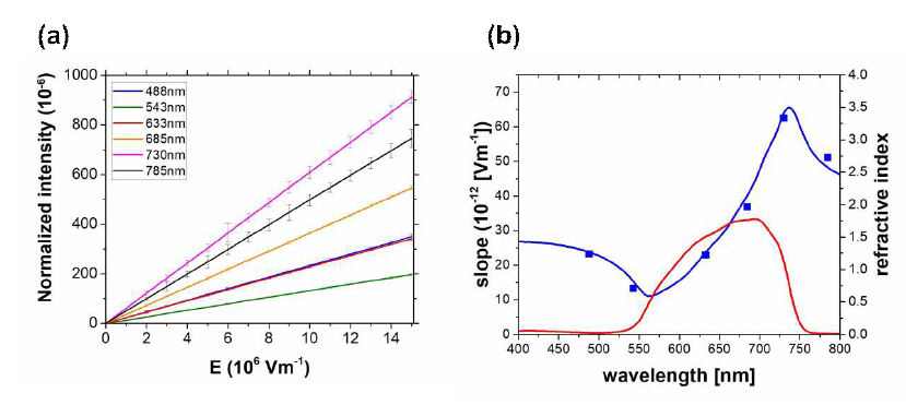 [보고서]메타물질 근접영역 에너지-전하 전달의 나노스케일 광물리 동력학 연구