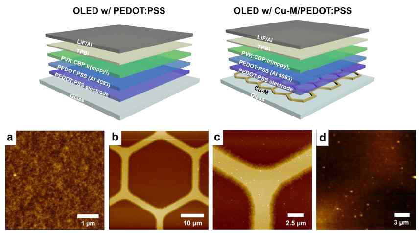 [보고서]대면적 그래인 프리 금속 박막 및 금속 산화물 박막 성장과 그 응용