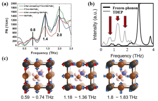 [보고서]열적 동적 구조의 제일 원리 연구