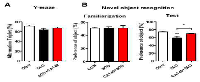 [보고서]베타 아밀로이드에 결합하는 도파민 유사체인 ca140의 알츠하이머병 및 파킨슨병 병리 저해기전 연구