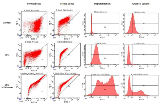 [보고서]신선편이과일에 존재하는 식중독균에 대한 청색발광다이오드와 키토산의 항균 효과 평가