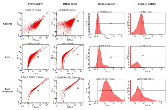 [보고서]신선편이과일에 존재하는 식중독균에 대한 청색발광다이오드와 키토산의 항균 효과 평가