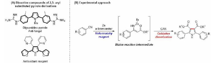 [보고서]입체 선택적 탄소-수소 결합 기능화 촉매반응 개발