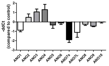 [보고서]사람 및 마우스의 안구표면 및 안구표면 질환에서의 Tmem16 유전자의 기능 규명