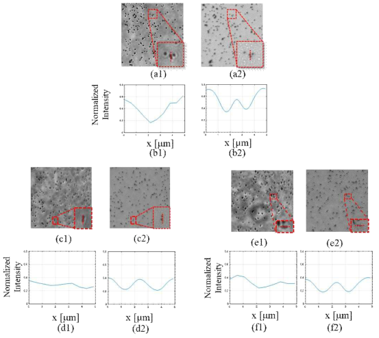 [보고서]전산 이미징을 적용한 3차원 측정 기가 픽셀 현미경 개발