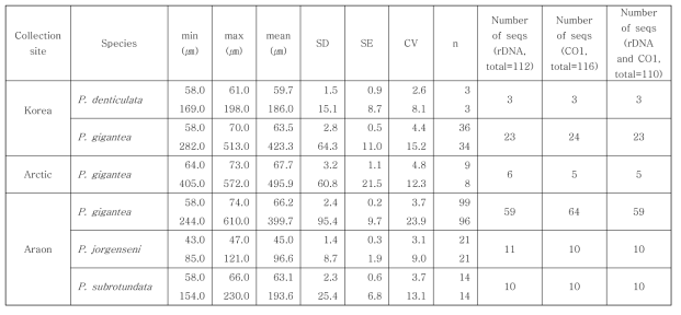 [보고서]해양 냉수성 유종섬모충류 Parafavella (Protozoa: Ciliophora)의 종식별 문제 해결 및 마이크로 ...