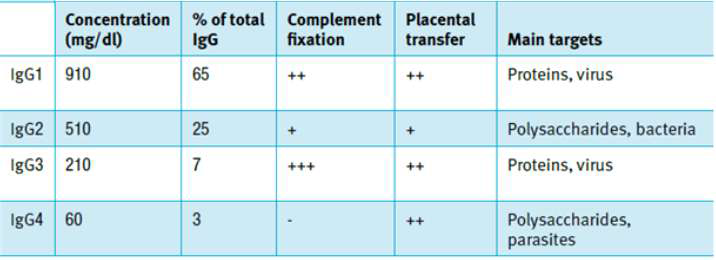 [보고서]b군 연쇄구균 백신에 대한 참조물질 개발 연구