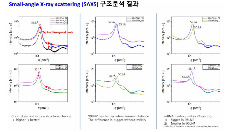 [보고서]RNA 백신 안전성 평가법 확립 및 효과 검증