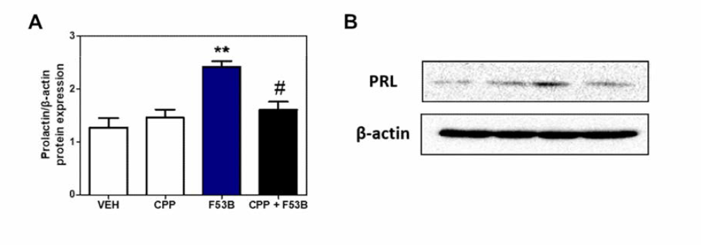 [보고서]식의약품 독성시험 기반 강화 연구