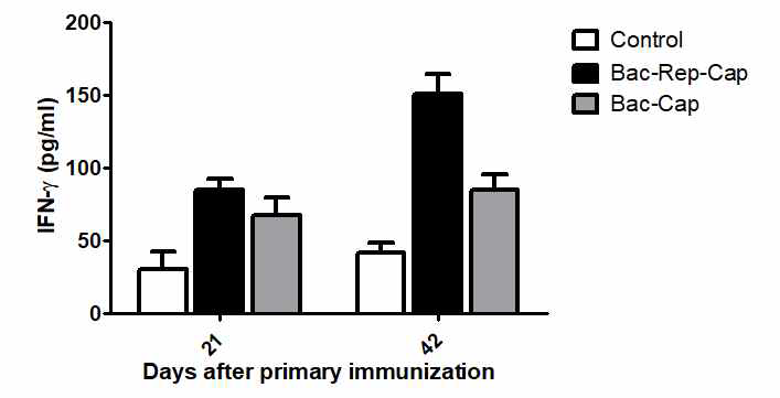 [보고서]이유 후 전신성 소모성 증후군(Postweaning multisystemic wasting syndrome, PMWS ...