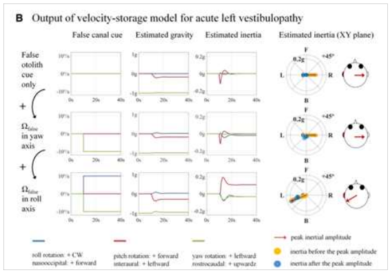 [보고서]전정신경평가를 위한 실용적 전정지각 검사법 개발 및 전정시스템 통합 모델 수립
