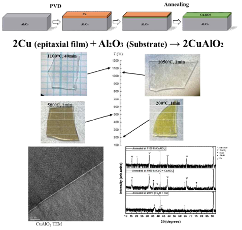 [보고서]델라포사이트 박막의 자기적 특성 조절